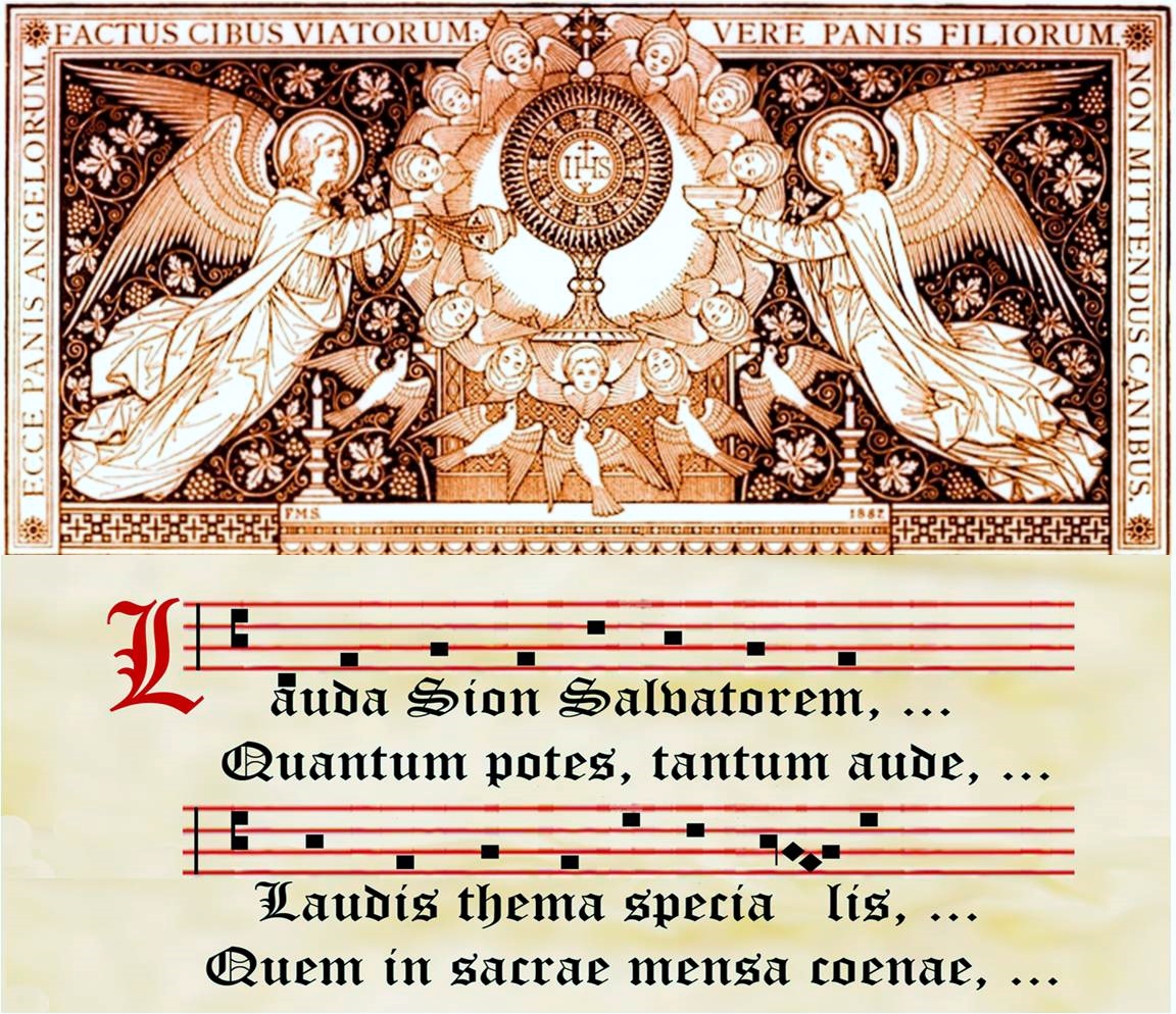 Knoxville Latin Mass Newsletter