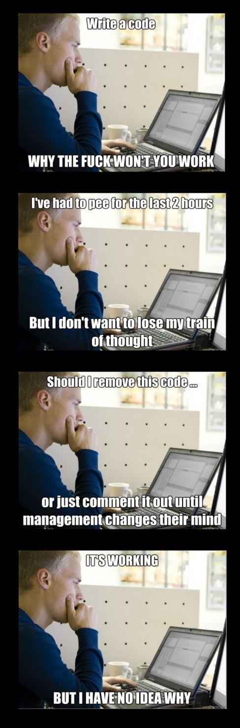 The Life Of A Programmer.