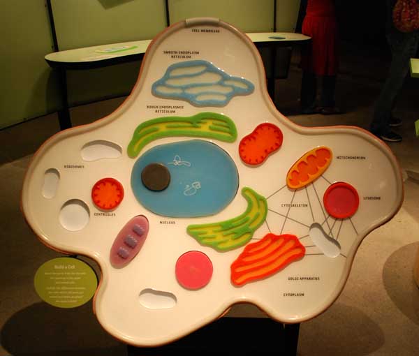 Artwife Needs a Life: Natural History Museum of Utah - Opens Today!