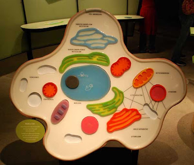 Artwife Needs a Life: Natural History Museum of Utah - Opens Today!