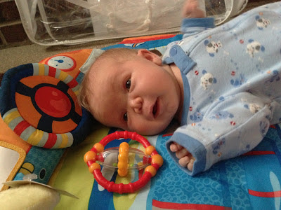 No nasal bone marker, polyhydraminos, low risk Harmony, typical baby ...