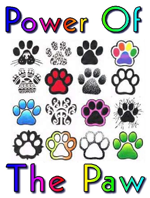 The Doxie life of Angel Lily Belle, Angel Muffin and their Humans ...