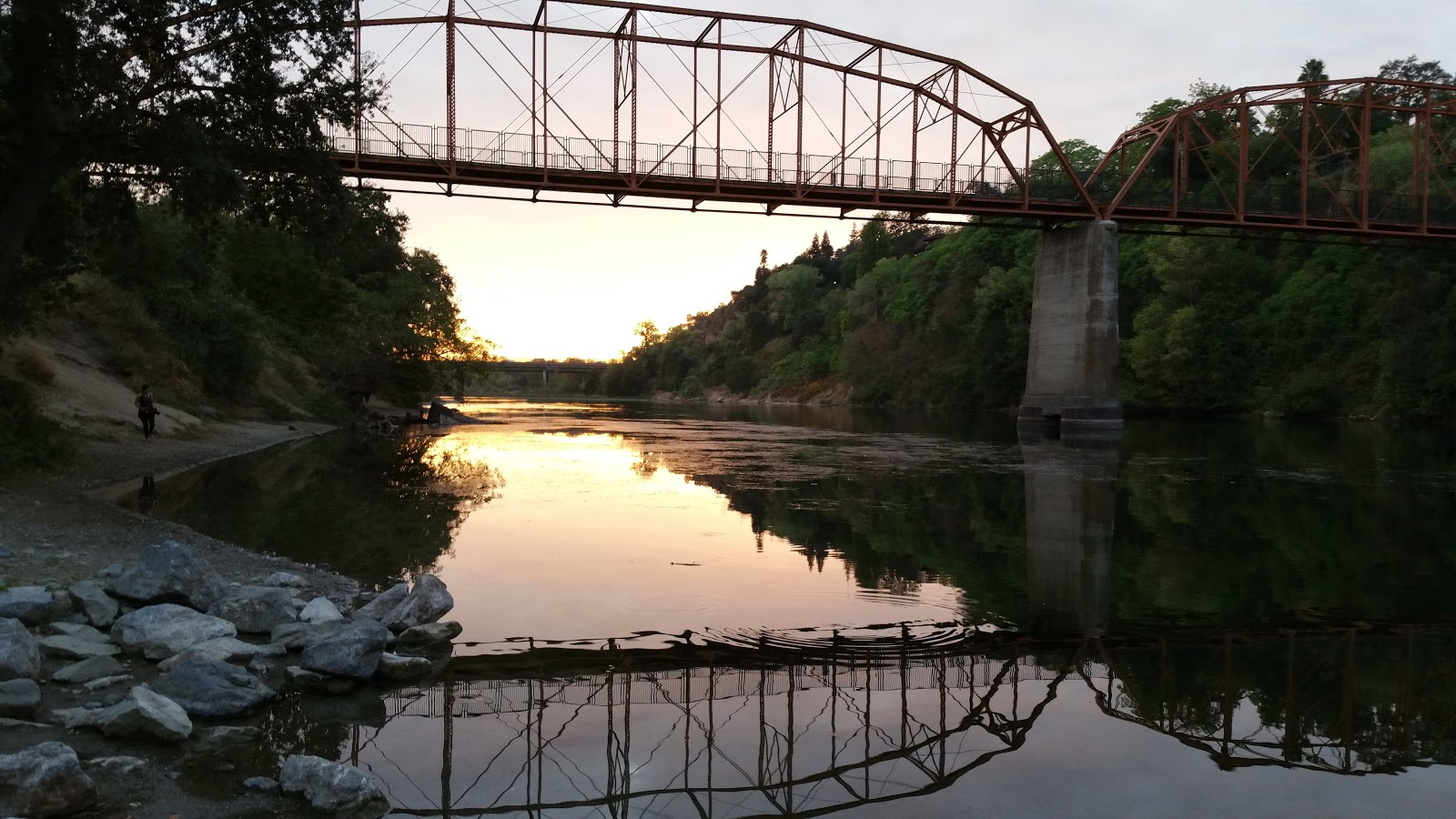 American River Pathway Runner: Jewel of Fair Oaks
