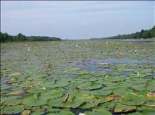 Day Hiking Trails: Grand lake, beautiful woods await hikers