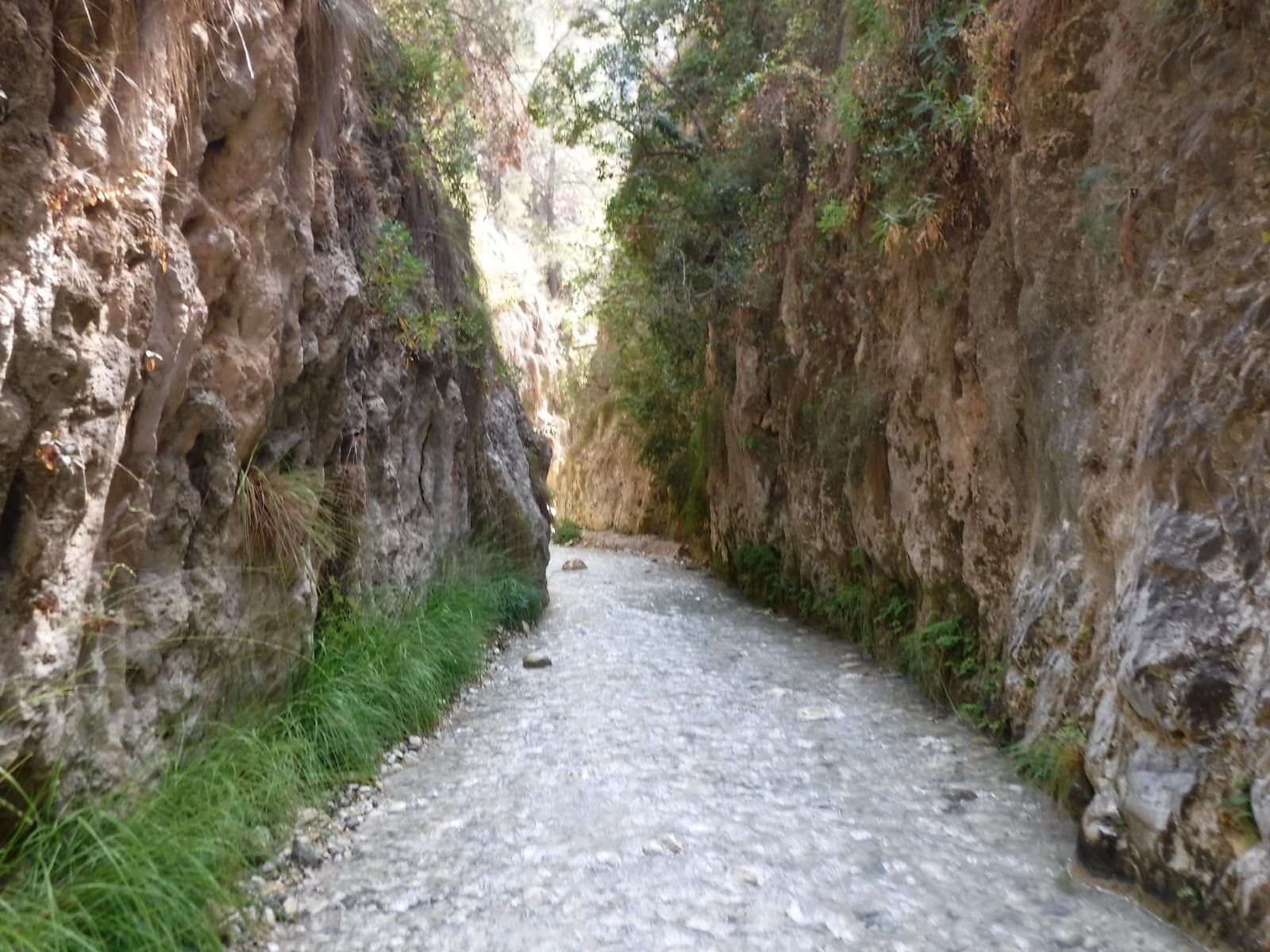 Senderismo Carlos y Petra: SENDERO RIO CHILLAR NERJA