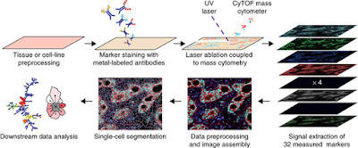 Reporting on Fluidigm's single-cell user meeting at the Sanger ...