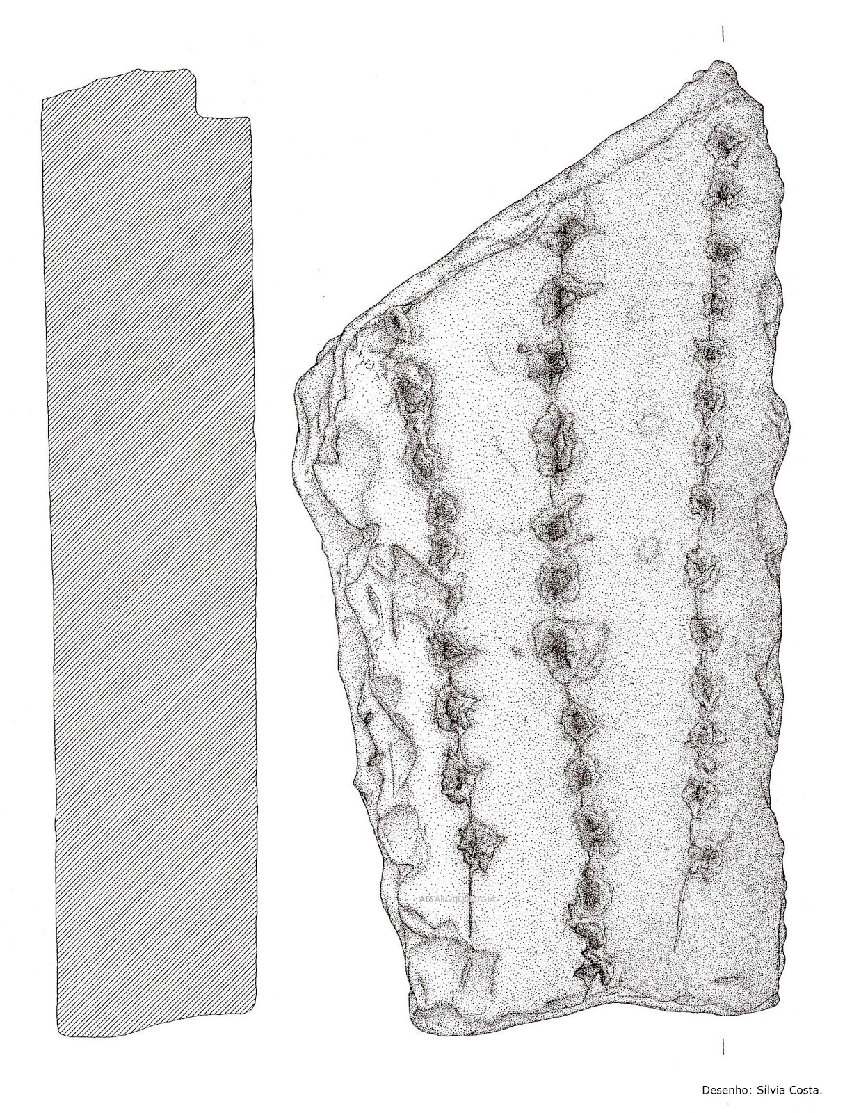 Sílvia Costa - Desenho Arqueológico / Archaeological - Scientific ...