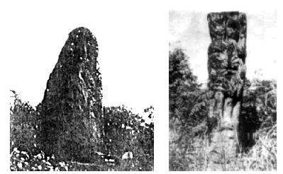 History Education: Kebudayaan Bacson-Hoabinh dan Kebudayaan Dongson