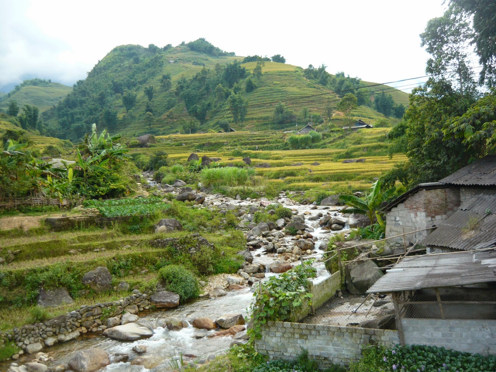 Cuaderno de viajes: Trekking por Sapa II