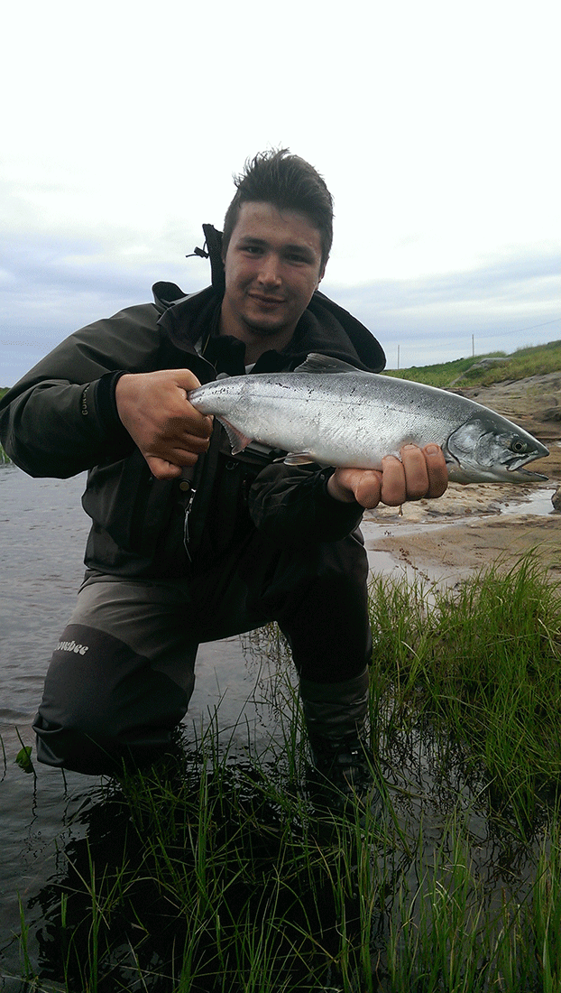 Chavanga Fish Blog: Salmon fishing in Russia. Some results of the ...