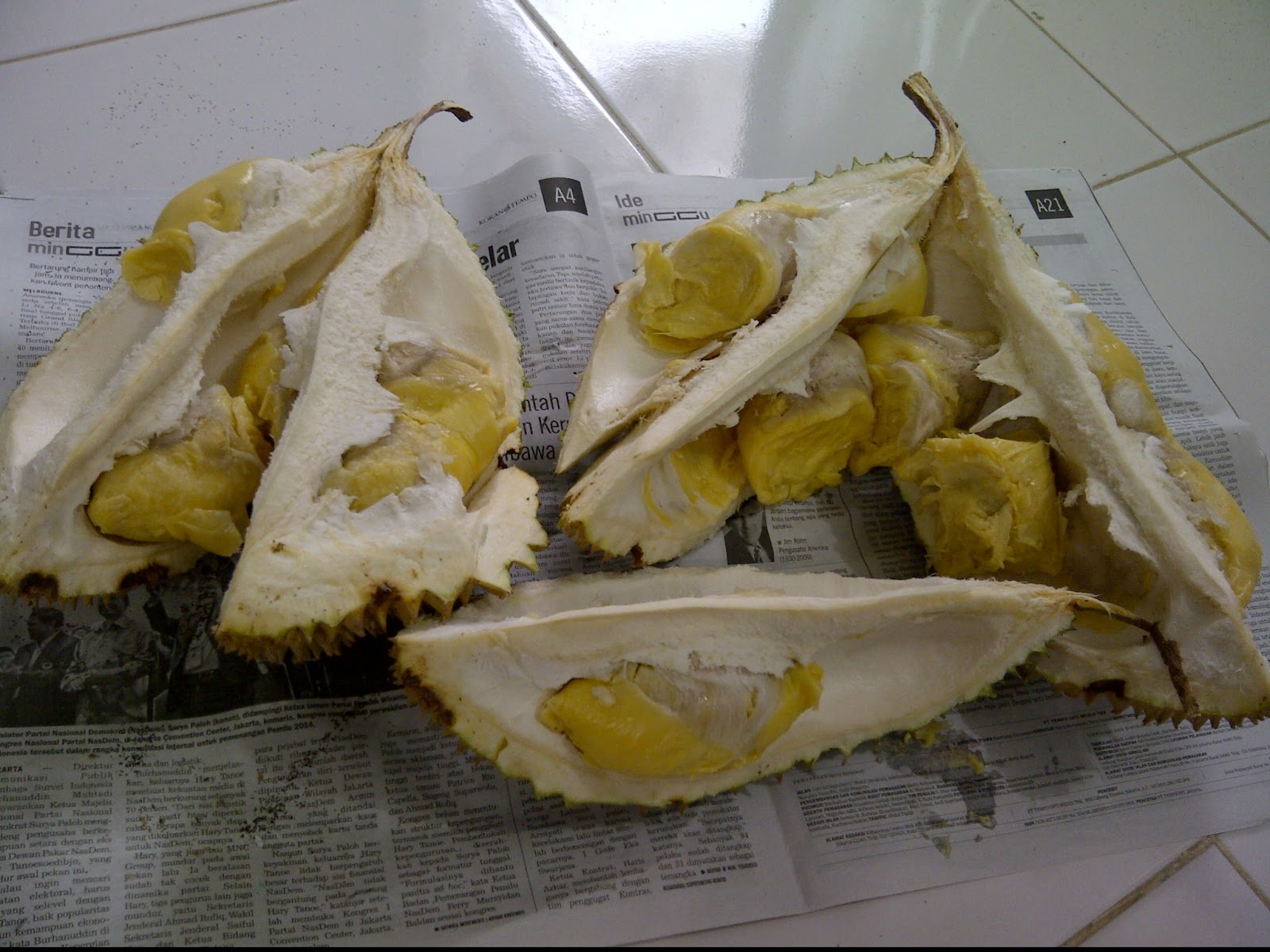 iyang's: Chiffon Duren