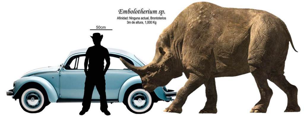 Palaeos, la historia de la Vida en la Tierra: noviembre 2011