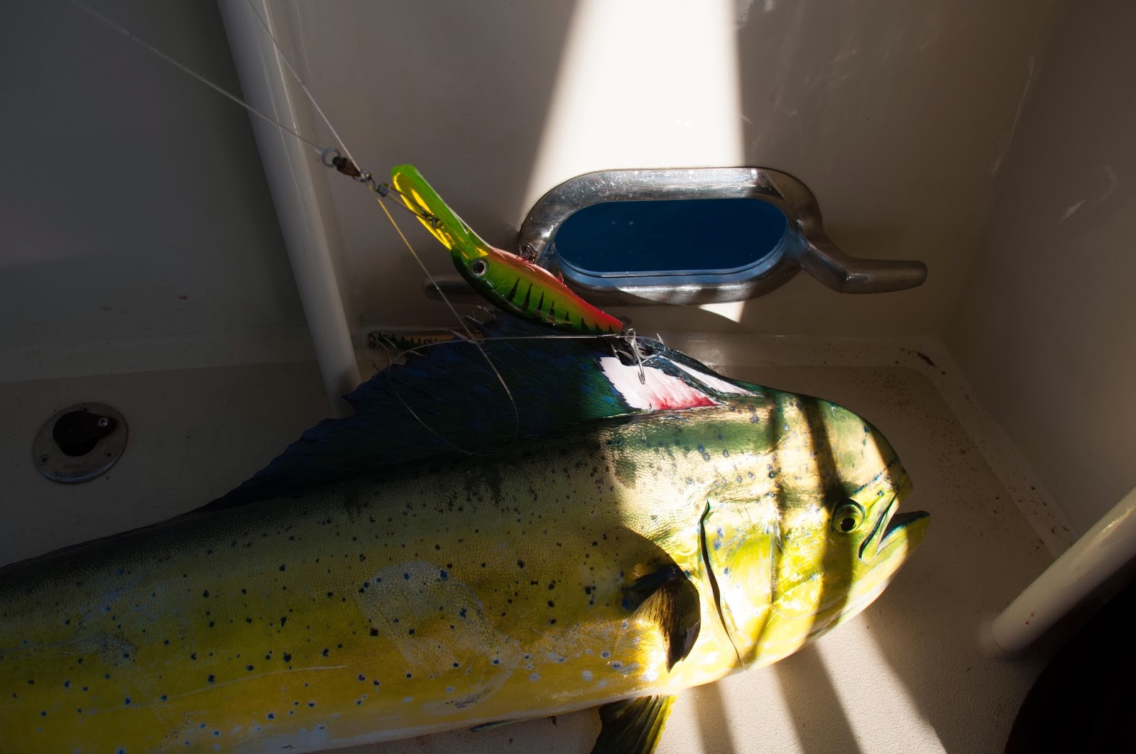 Adam @ Sea: Fubar Trip - San Diego to La Paz by Randy