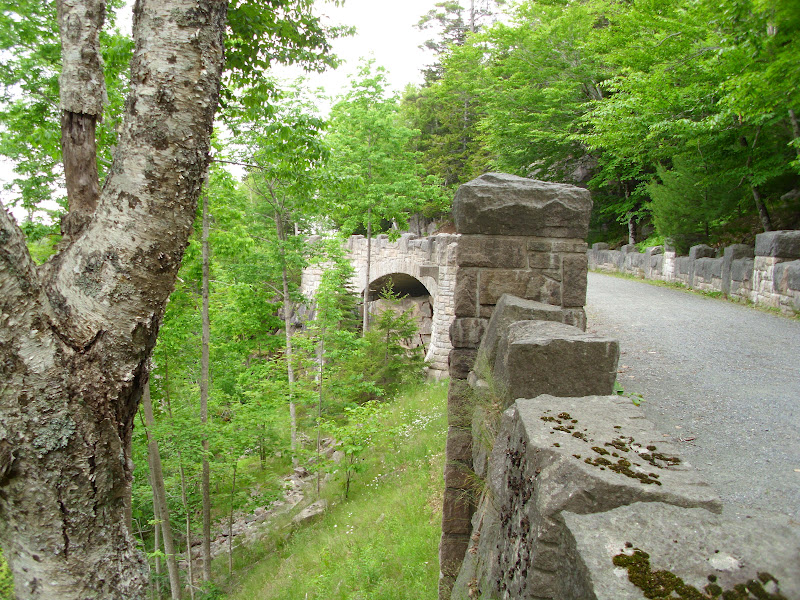 Gains And Losses: Life Through Sharon's Eyes: The Bridges Of Acadia ...