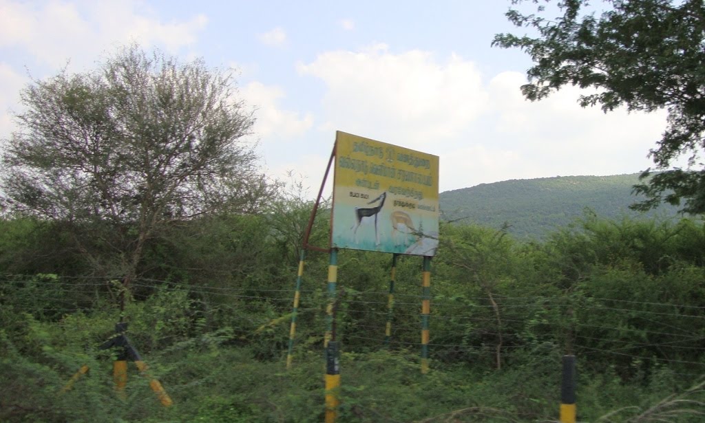 Tamilnadu Tourism: Vallanadu Wildlife Sanctuary, Thoothukudi