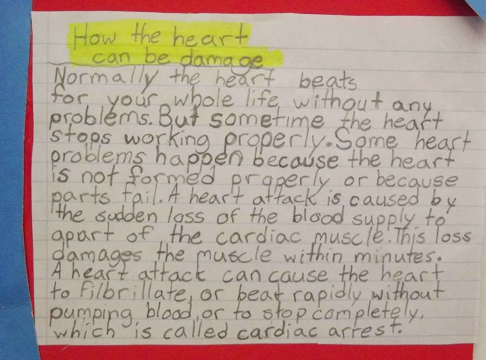 Room 13: Organs of the Human Body Science Projects - Grade 5
