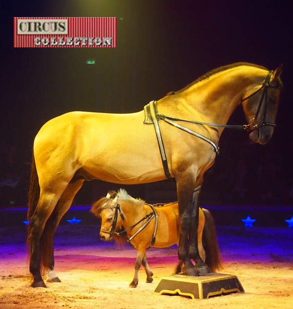 Circus -Collection: Cirque Knie 2012 "Passion Cirque", flyer, affiches ...