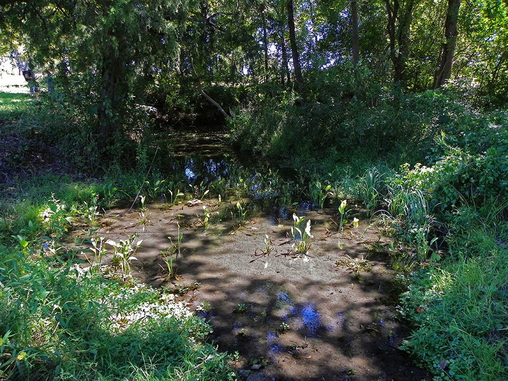 Dallas Trinity Trails: Packrafting The Trinity River Paddling Trail Out ...