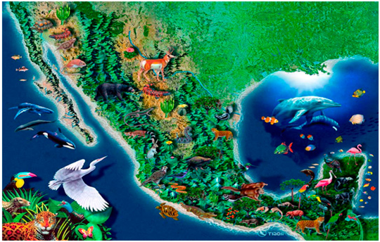 BIODIVERSIDAD DE MÉXICO Y EL MUNDO