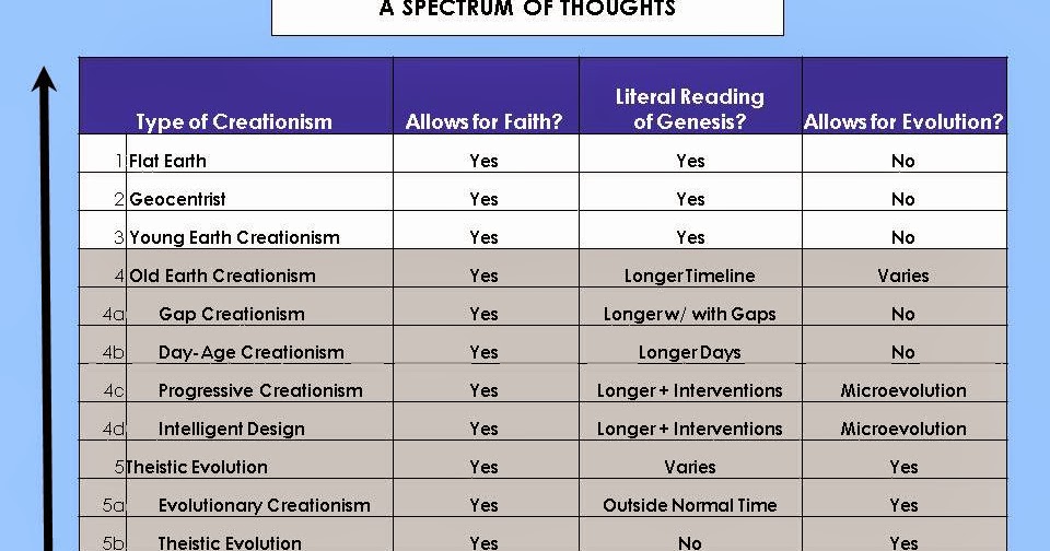 Syers Biology Blog: A Spectrum of Thoughts