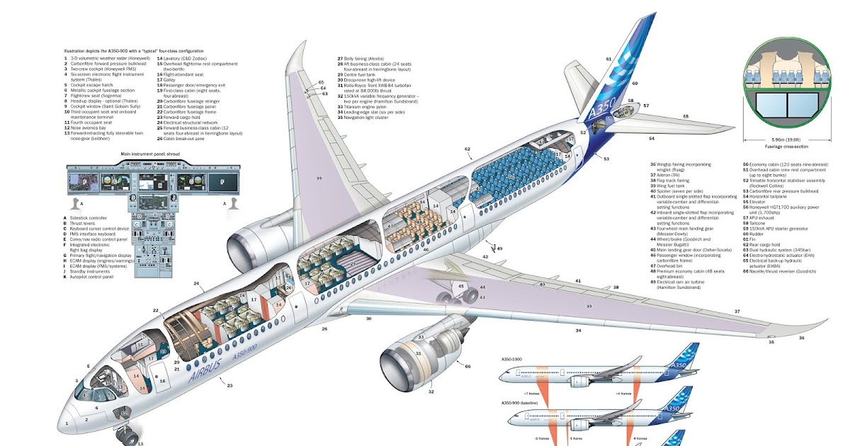 Airbus A350 Series Cutaway Drawing | Aircraft Wallpapers Galleries