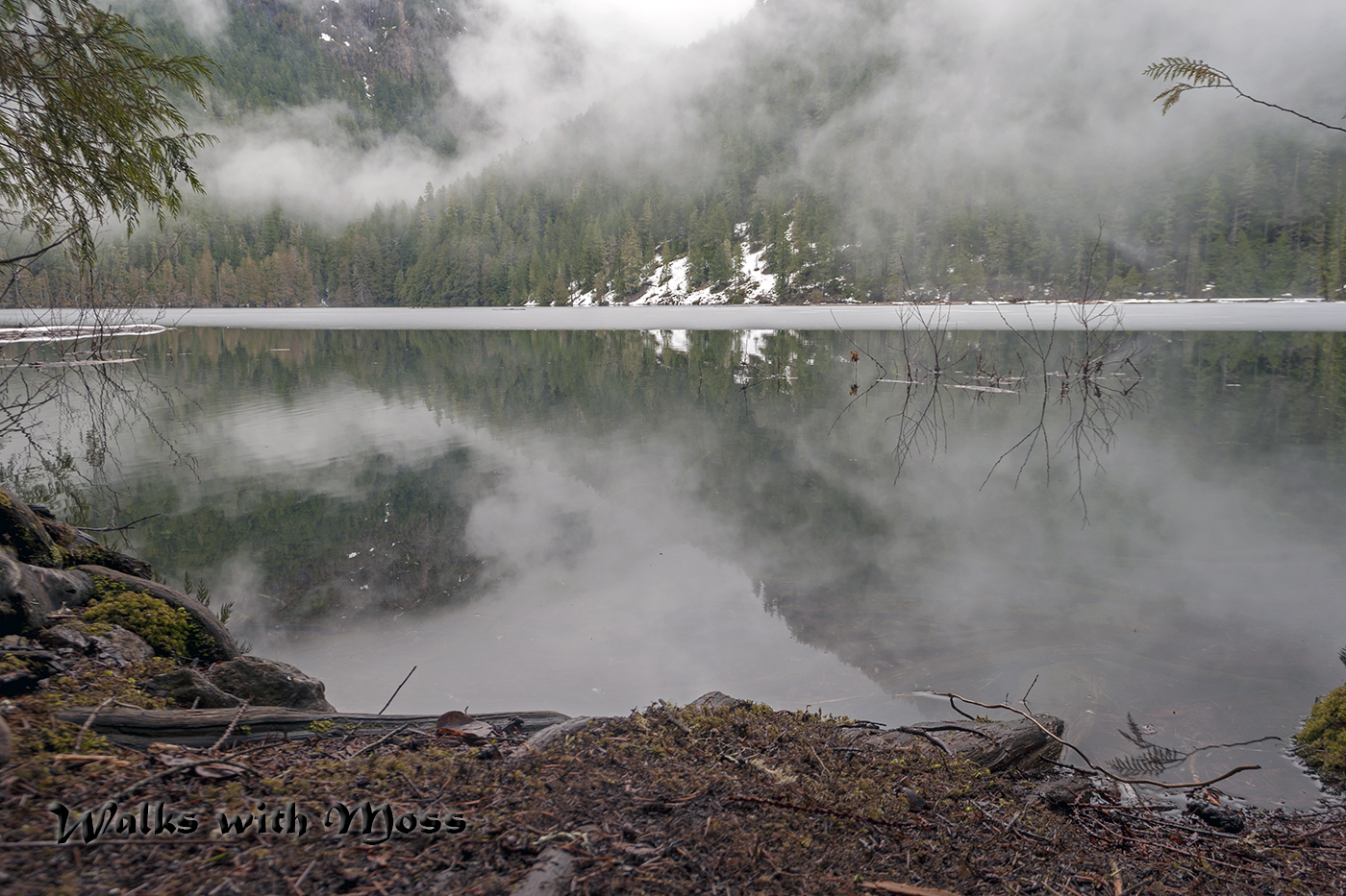Walks with Moss: Lower Lena Lake