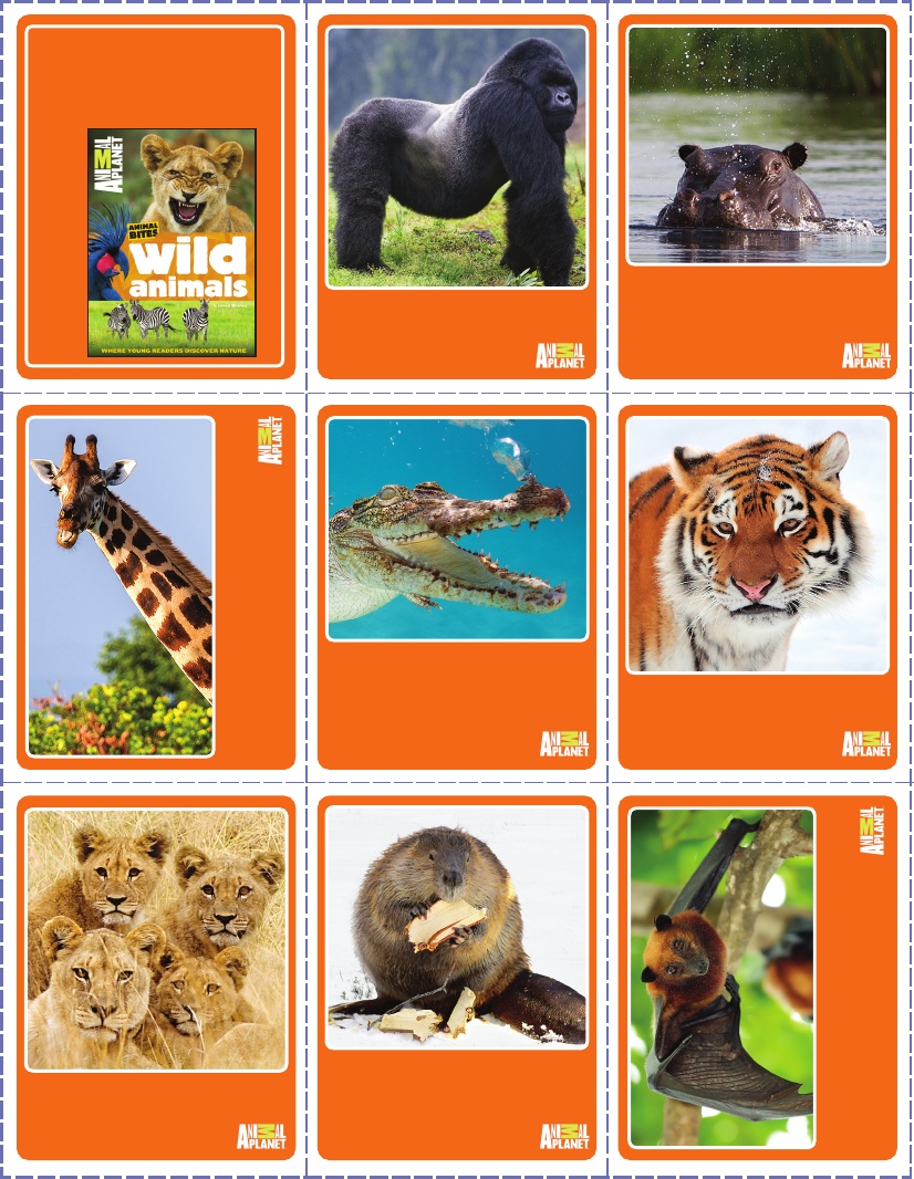 Children's Book Review: Animal Planet Animal Bites Farm and Wild ...