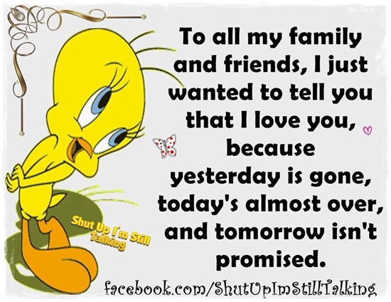 30 Best Funny Tweety Bird Quotes