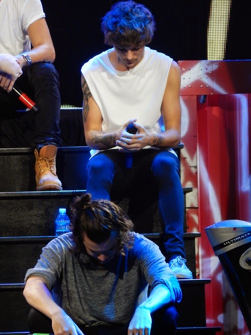 One Direction Girls ♥: Concierto en Charlotte, EEUU.-Where We Are Tour ...