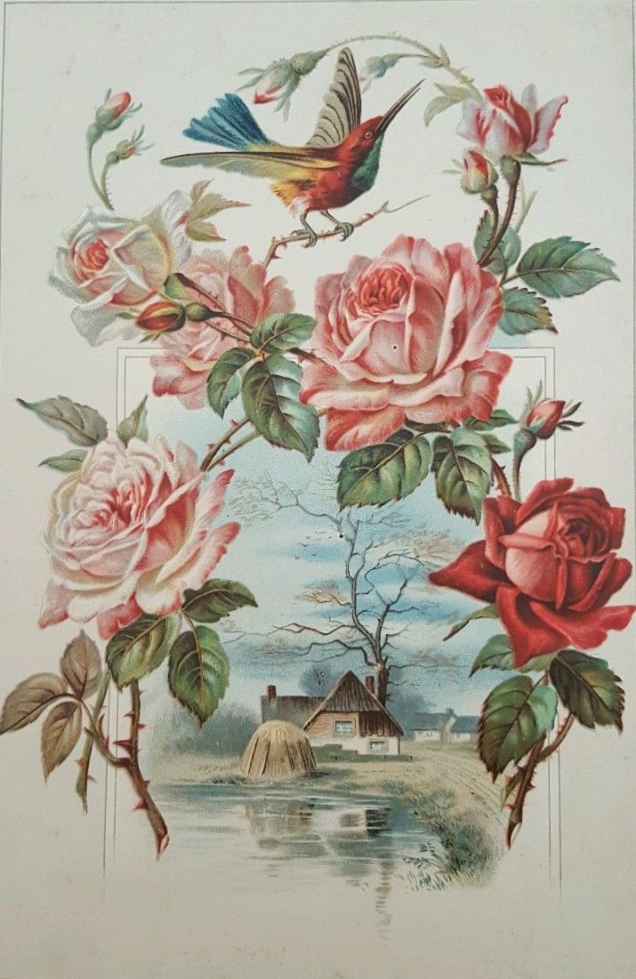 Alenquerensis: Beautiful Things from the Past