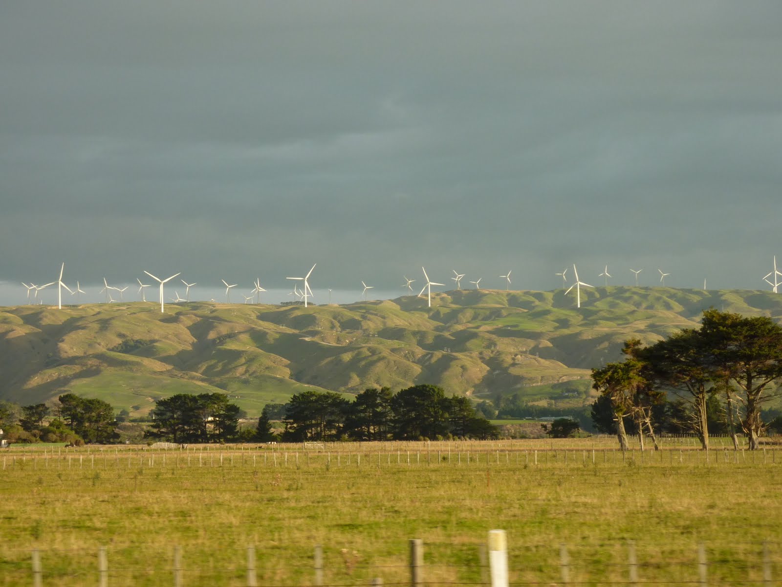 An Adventure in New Zealand: Manawatu Wind Farms