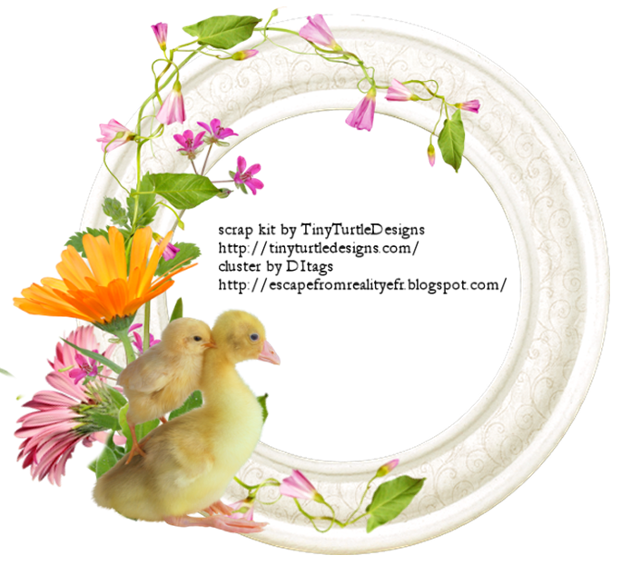 Escape From Reality Blog: FTU 'Bright Spring' Cluster & Cluster Frames