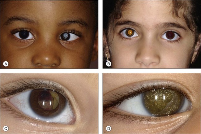 All things HUMAN...Anatomy and Physiology that is: LOOK CLOSER (BY ...