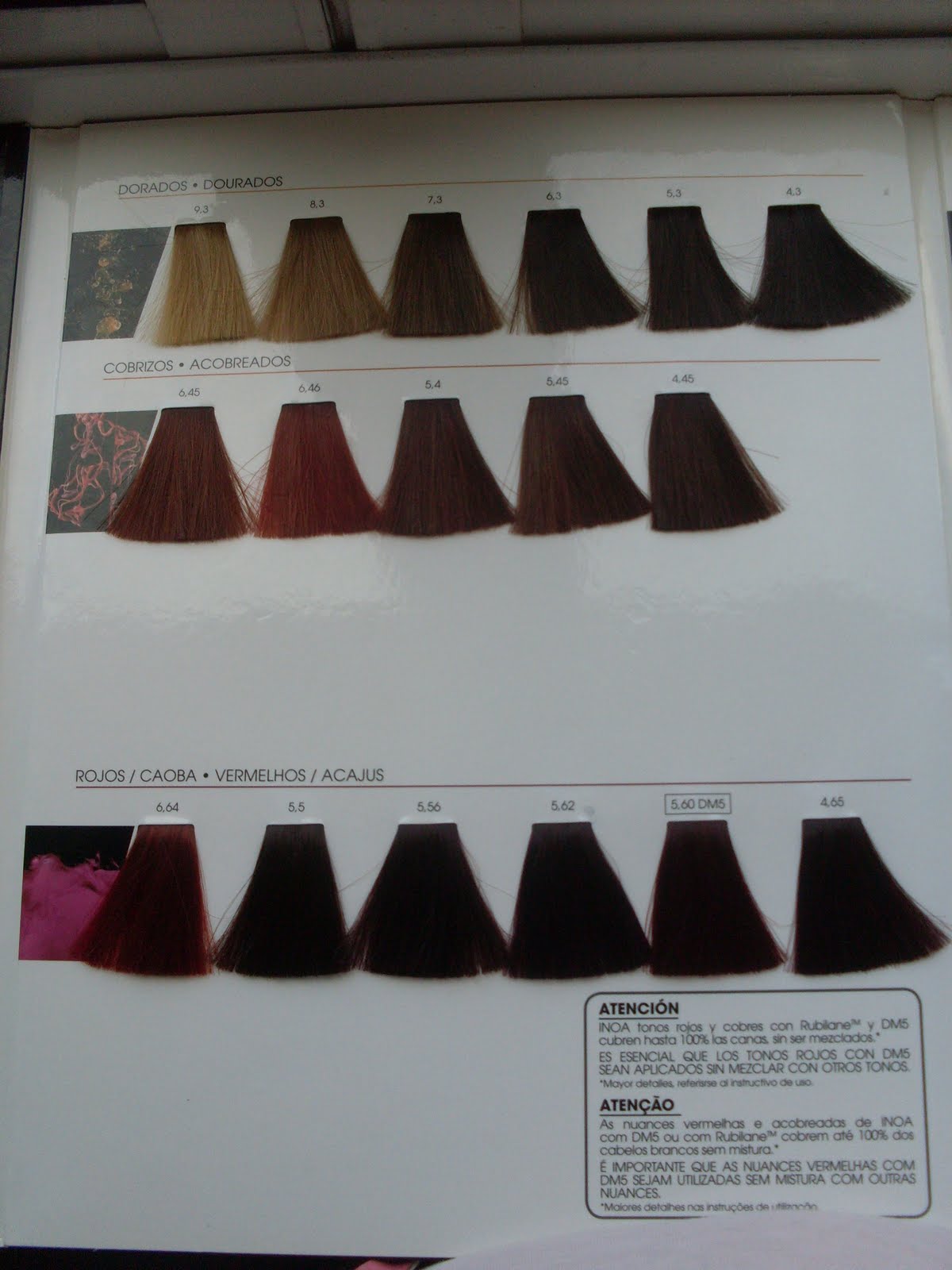 Meu segredo de beleza: Seminário Inoa L´oreal