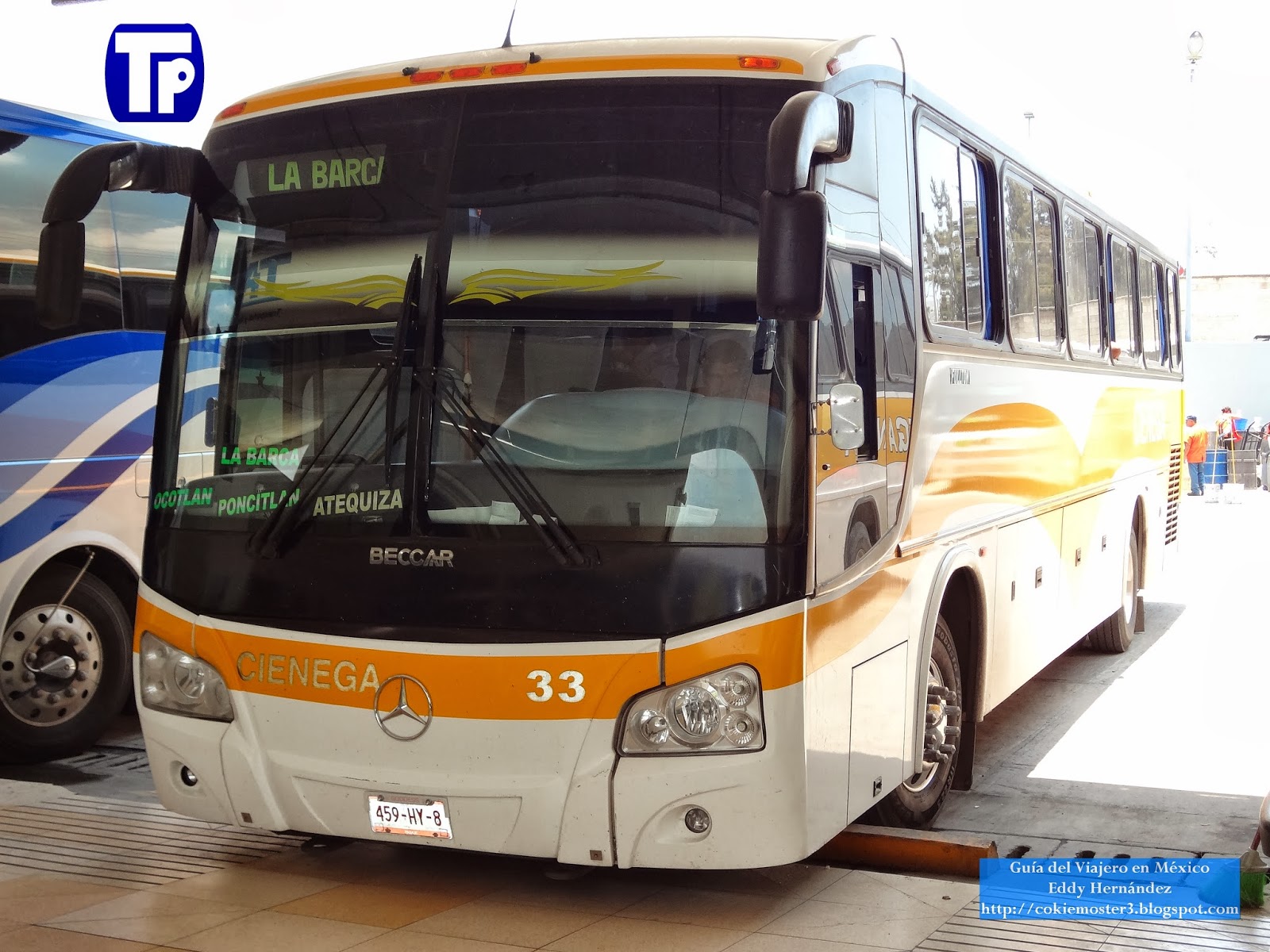 Lineas de Grupo Flecha Amarilla