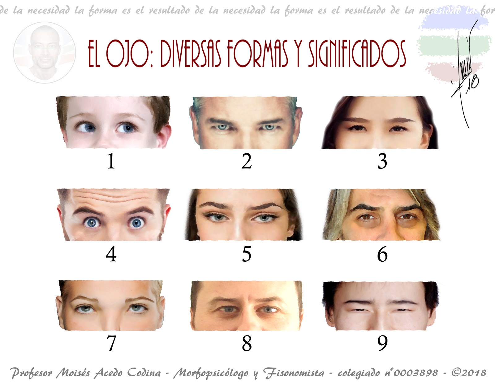 Moisés Acedo Codina: EL OJO: DIFERENTES FORMAS Y SIGNIFICADOS
