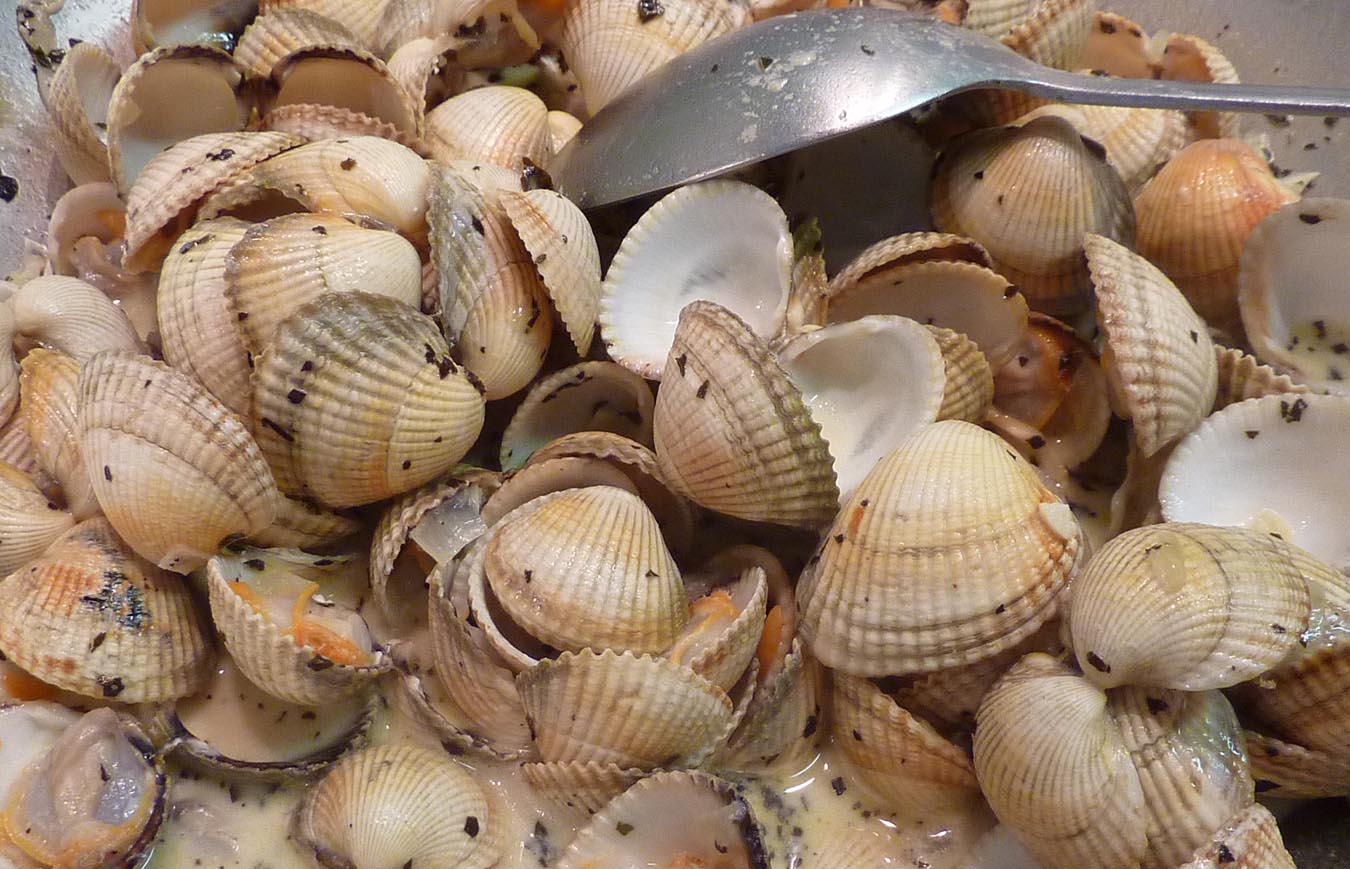 Living the life in Saint-Aignan: Cockles in a cream and oregano sauce