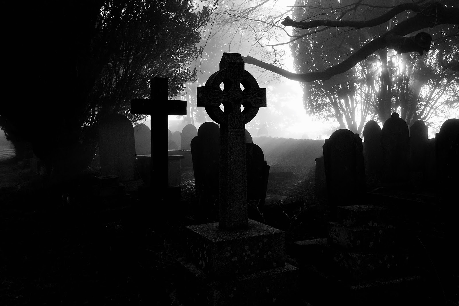 Kitsuneverse Graveside Chat Ways To Improve Your Scare Actors kitsuneverse-graveside-chat-ways-to-improve-your-scare-actors
