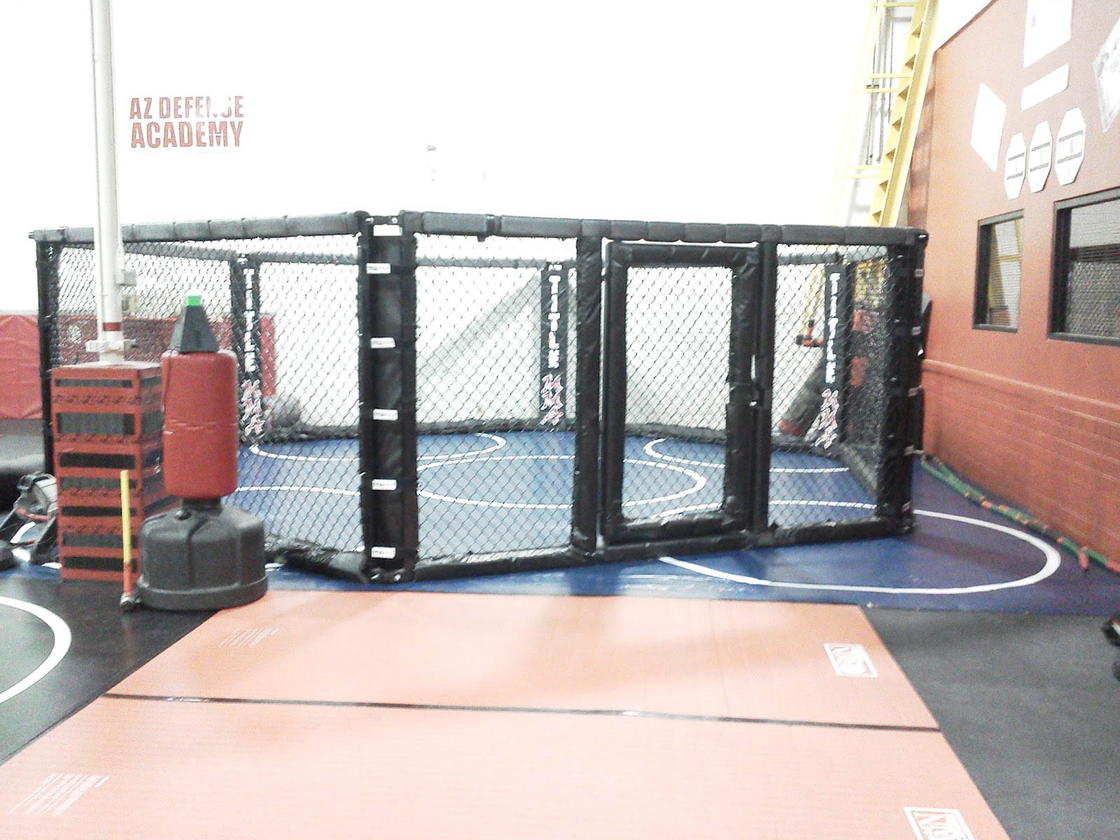 The Official AZ Defense Academy BLOG!: RENT THE MMA CAGE by the HOUR ...