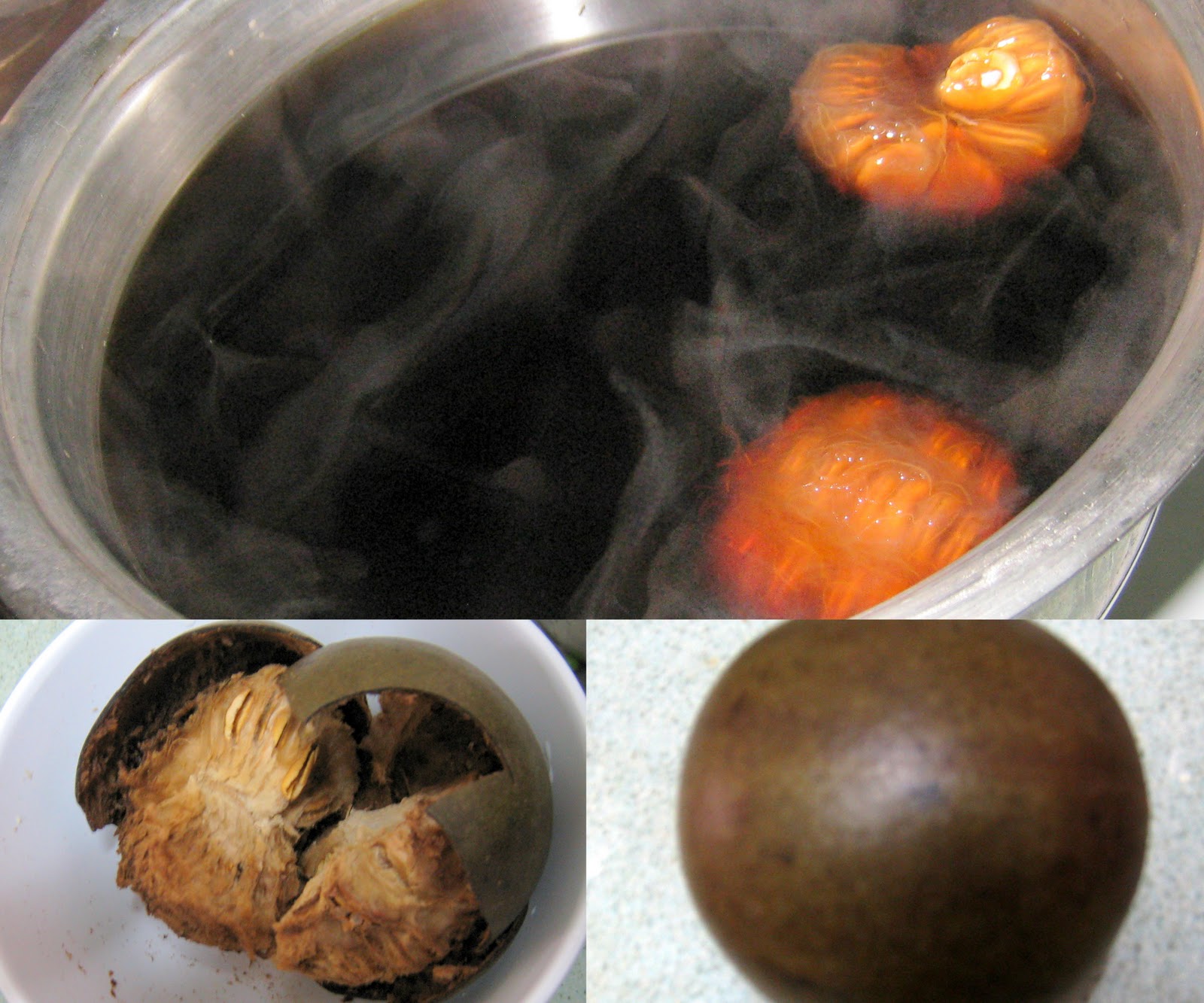 Teh Tarik Junction: Lo Hon Ko (or better known as Luo Han Guo in Mandarin)