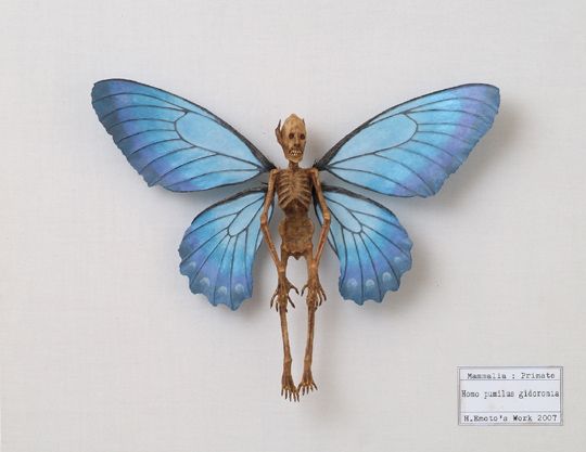 Art-Sci: Specimens of Mythological Creatures Displayed in Japanese Museum