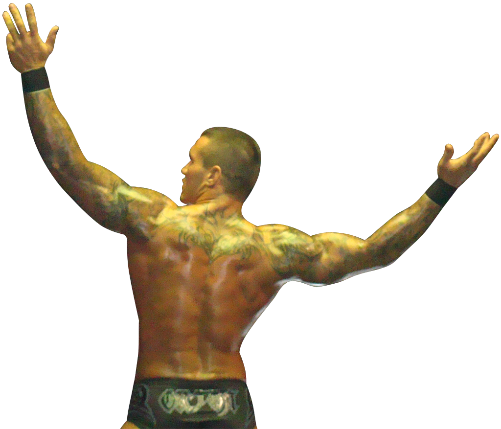 Wrestling Universe: Professional wrestler ,Randy Orton