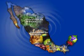 Algo increíble... la megadiversidad en México: Que es la megadiversidad...?