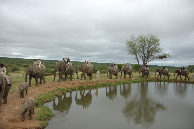 Beautiful South Africa: Elephant Back Safaris in South Africa