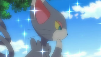 Pokémon Era Black: Attack Dex - Glameow