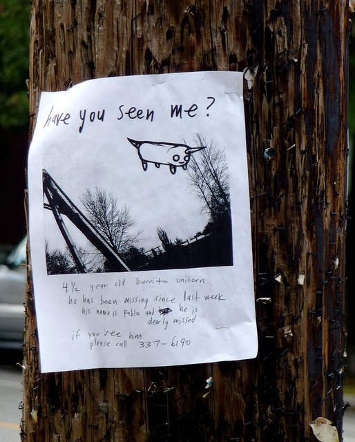 Lost, Missing and Found Posters - The Funny Side ~ Kuriositas