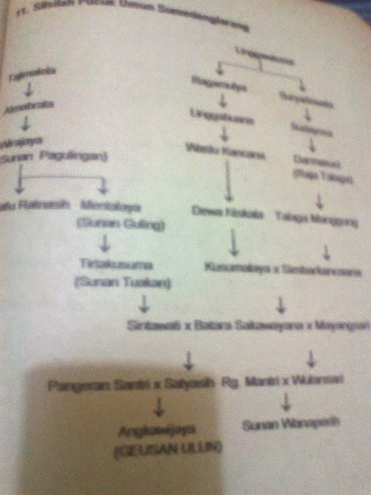 PS PARTISAN SILIWANGI 1922: Silsilah Raja Raja Tatar Sunda