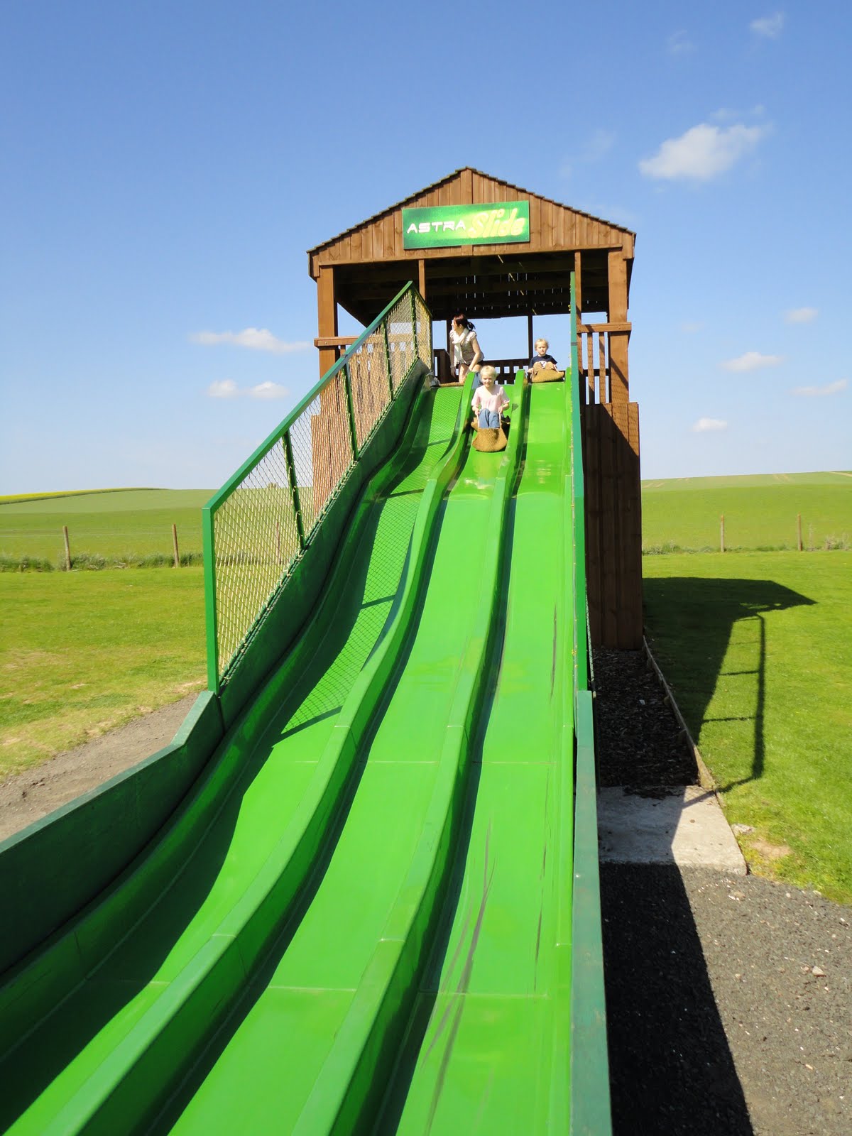 Dobber-Blog 3: Adventures in the Scottish Countryside