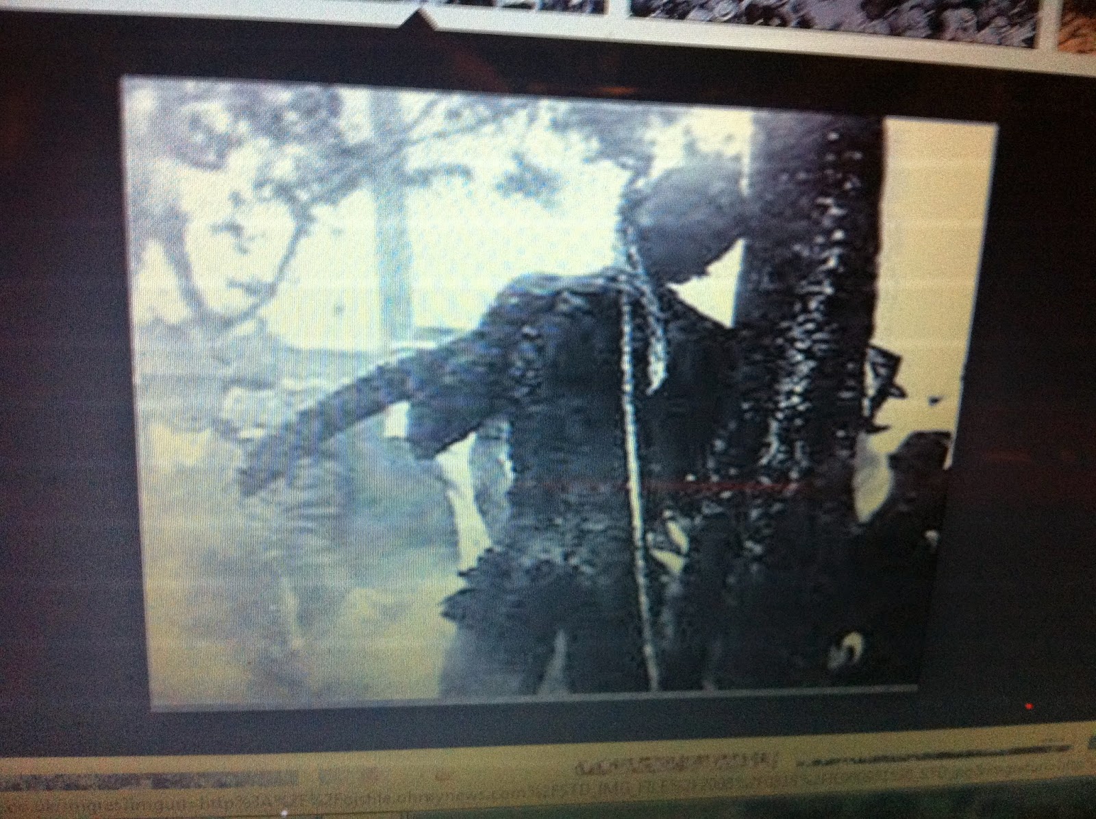 THE BLACK SOCIAL HISTORY:: BLACK SOCIAL HISTORY : THE LYNCHING OF JESSE ...