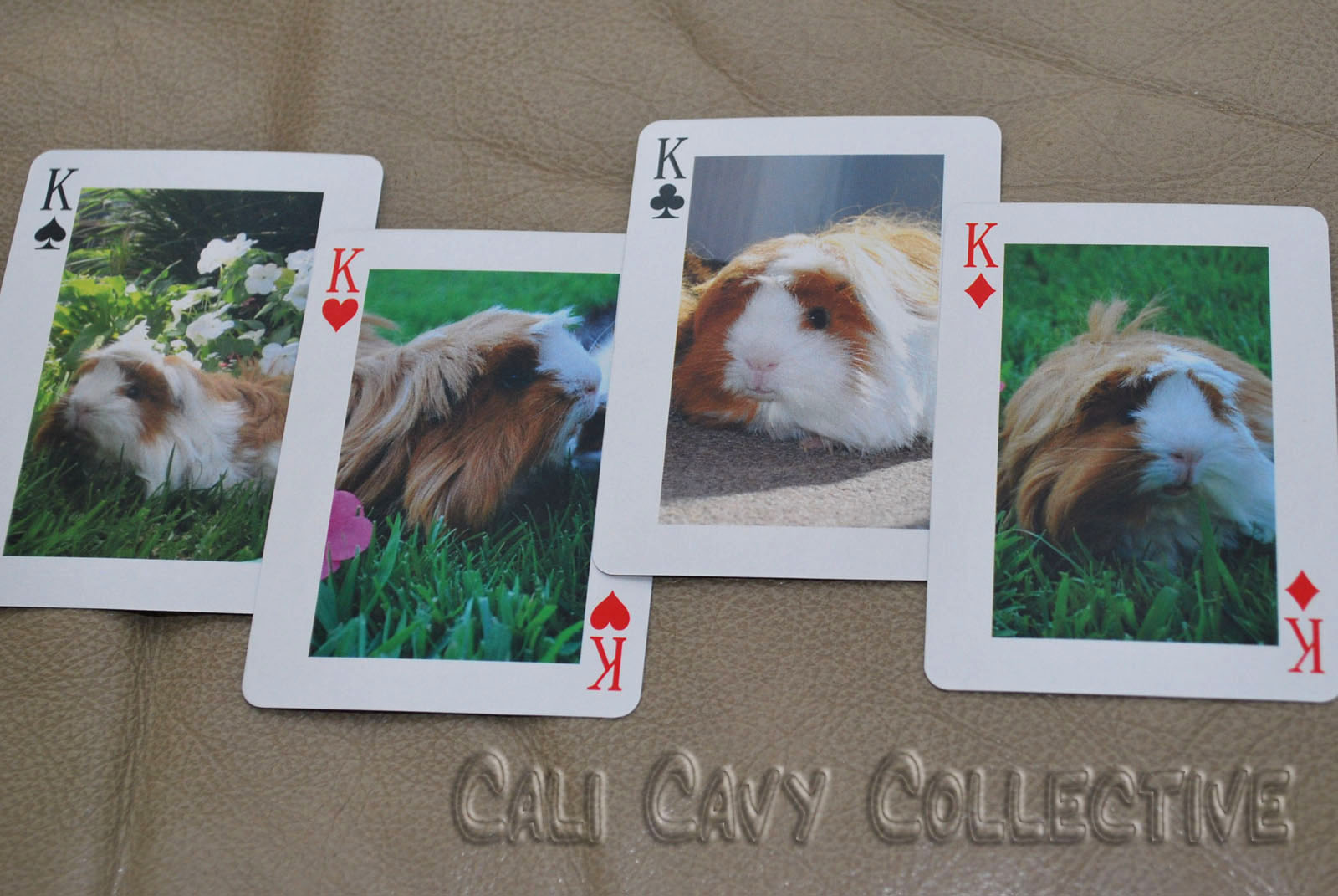Cali Cavy Collective: a blog about all things guinea pig: Guinea Pig ...